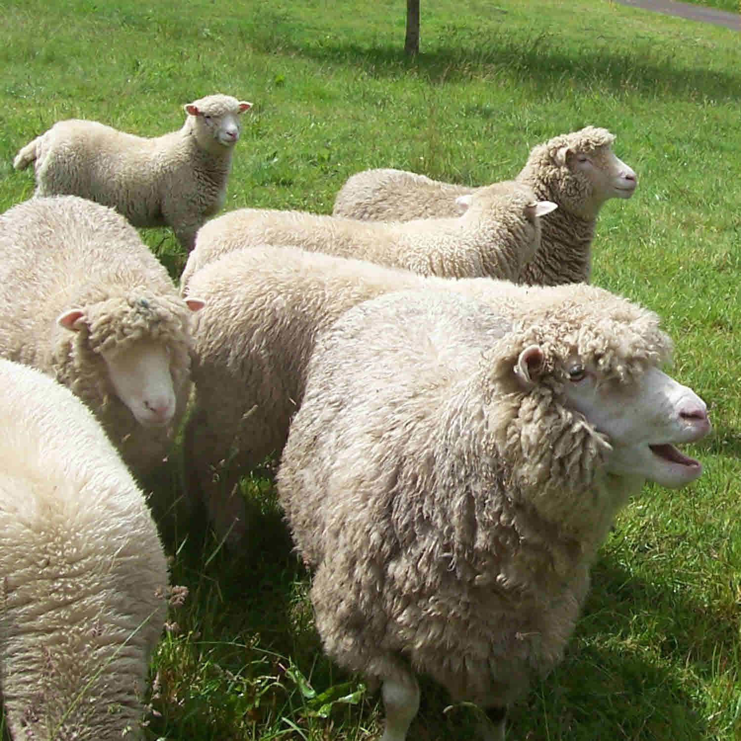 Autumn - New Hilfield Website