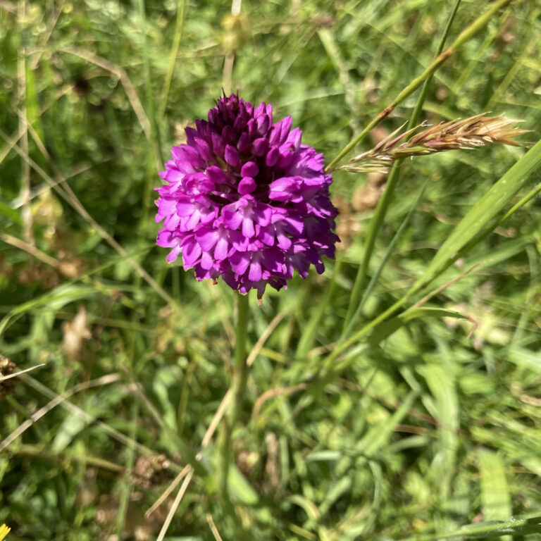 Hilfield Home - New Hilfield Website